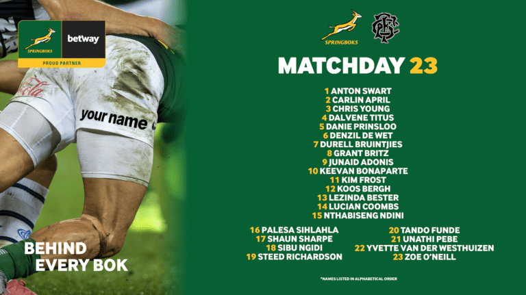 The Fans Behind the Boks - The Vibe ZA